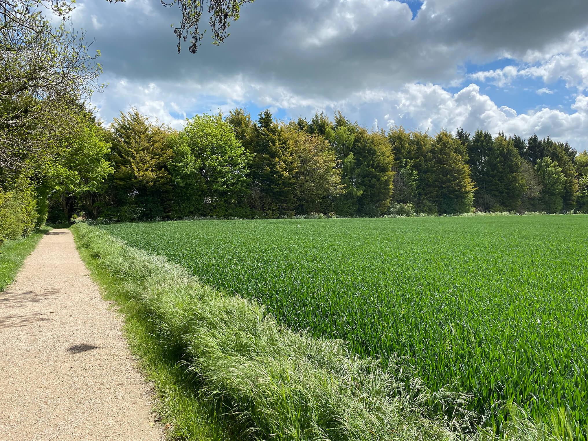 Historical pictures and photographs - bottisham-pc.gov.uk